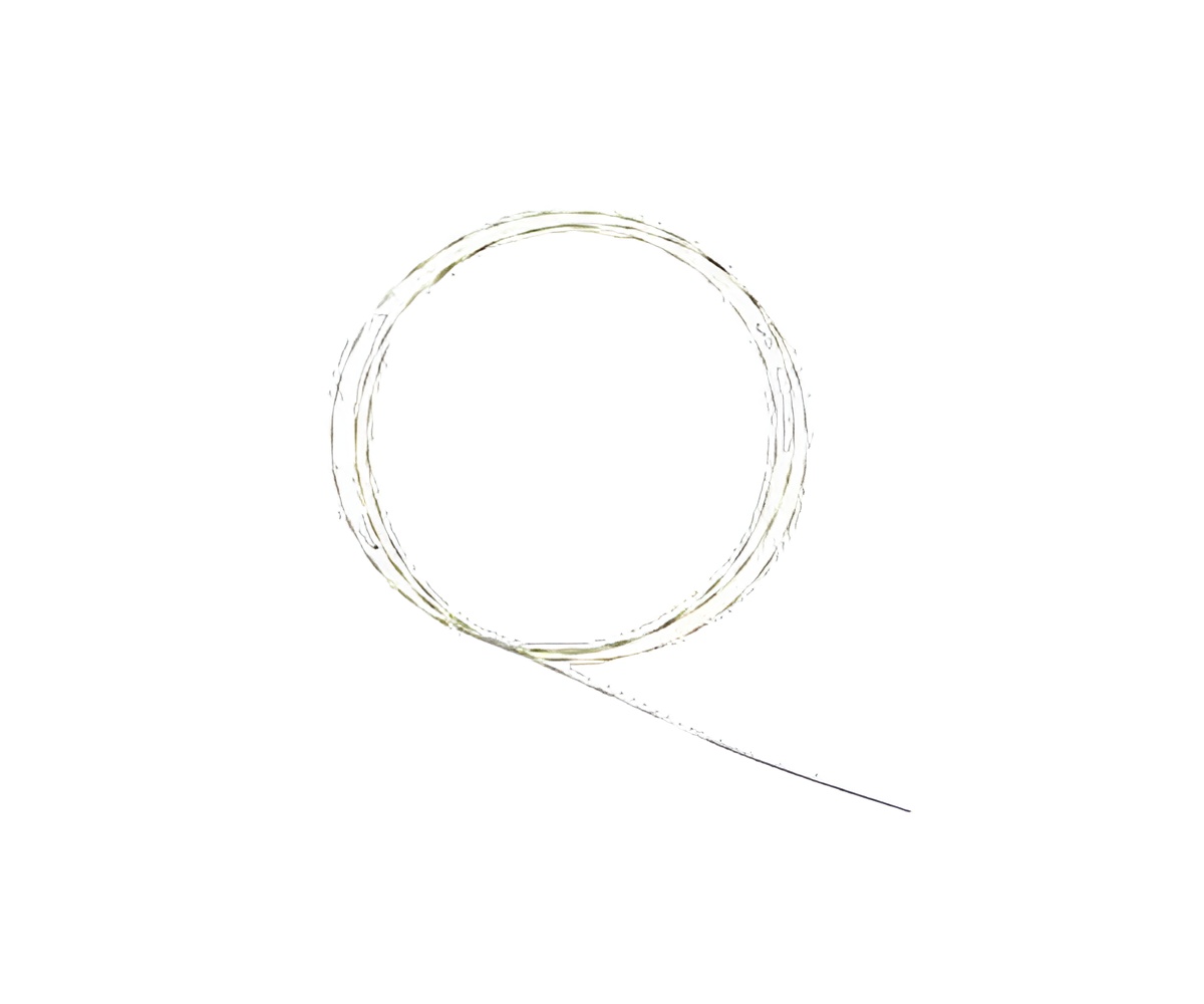 Zebra Guide wire – Zen Medix