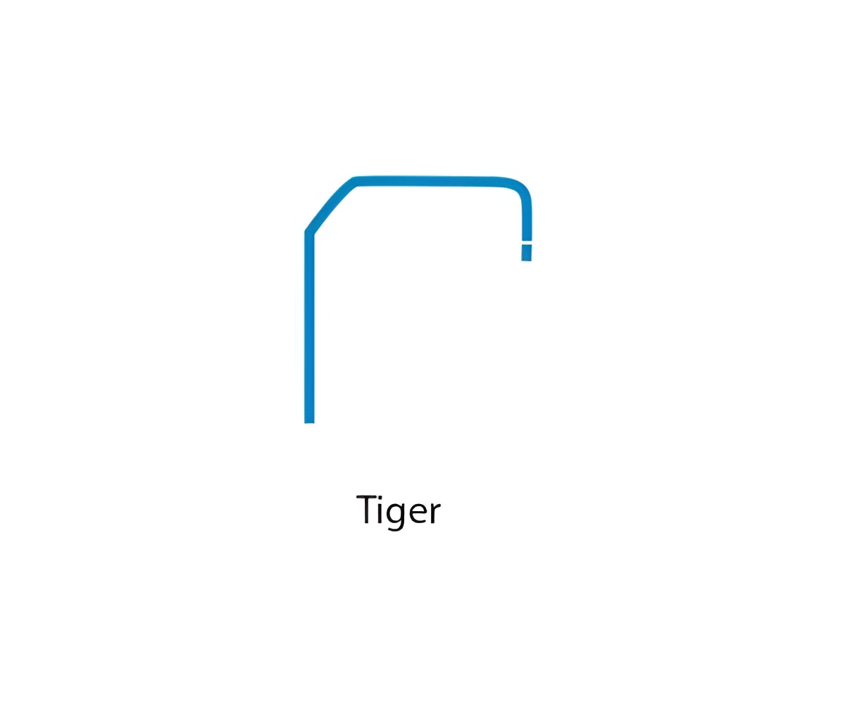 Angiography Catheter (Tiger) – Zen Medix